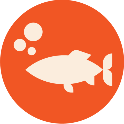 Fish Passage Action Team | Global Fish Passage Resource Hub