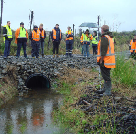Fish Passage Action Team | Global Fish Passage Resource Hub